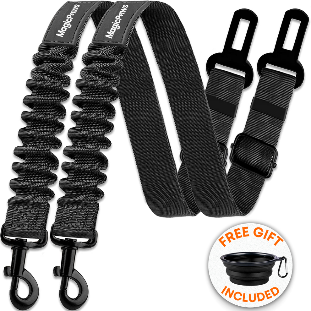 MagicPaws™ Dog Safety Belt 2.0 – Magic Paws