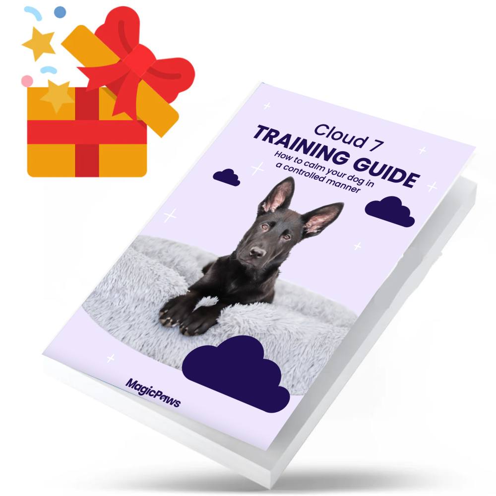 FREE eBook – Magic Paws