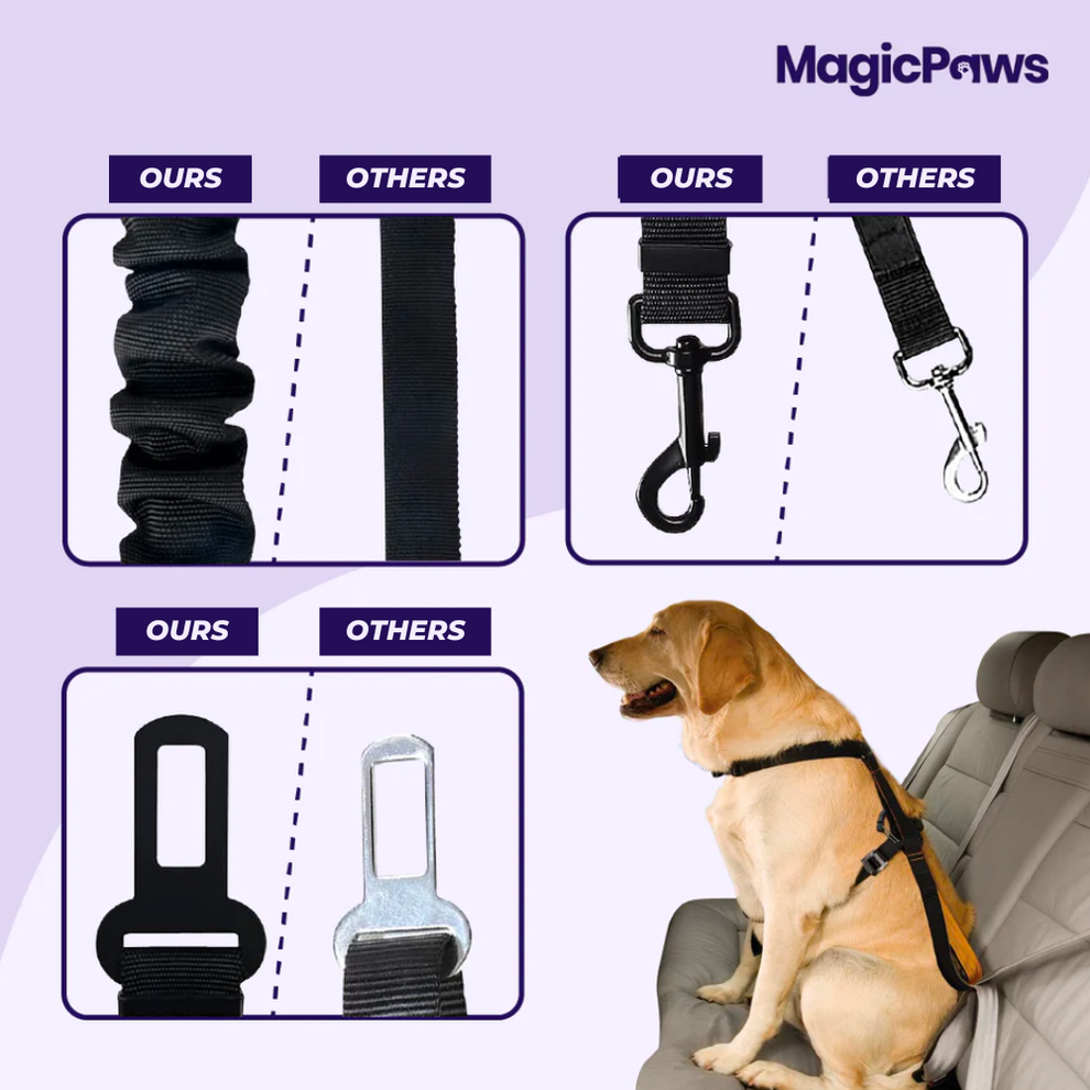 MagicPaws™ Dog Safety Belt 2.0 – Magic Paws